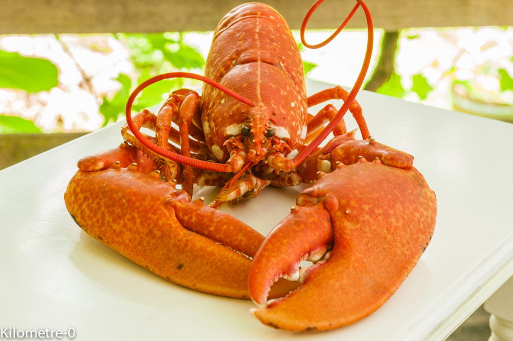 Quand et comment consommer les crustacés ? – Kilomètre-0