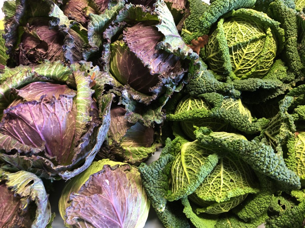 Le chou pommé, le légume pour rester en forme – Kilomètre-0