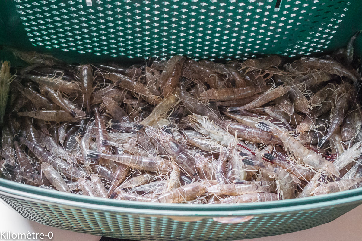 Photo de recette de crevettes grise de Kilomètre-0, blog de cuisine ...